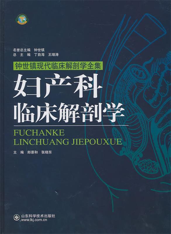 妇产科临床解剖学