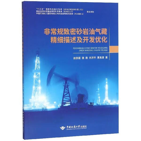 非常规致密砂岩油气藏精细描述及开发优化 赵彦超,骆杨,刘洪平,萧高健 著