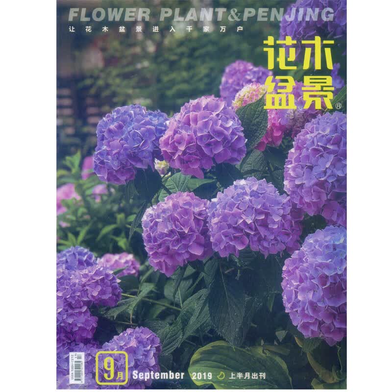 2019年9上半月刊《花木盆景》杂志