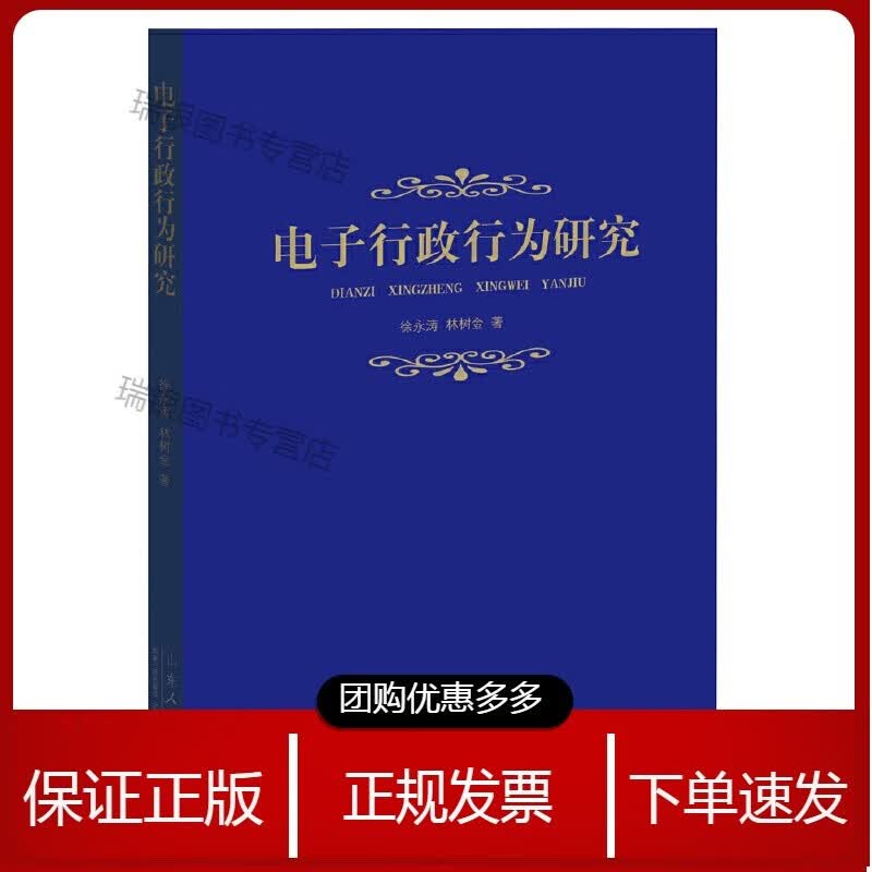 电子行政行为研究