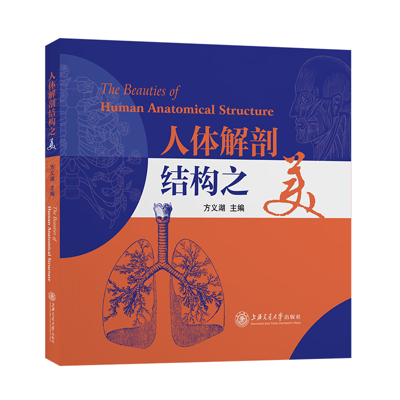 人体解剖结构之美