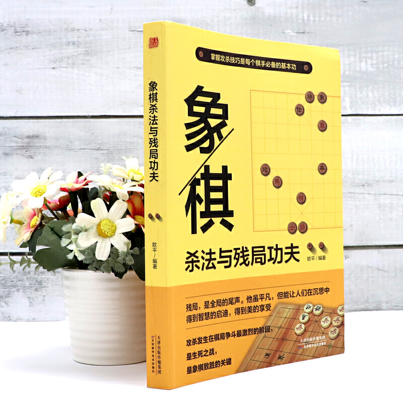 象棋杀法与残局功夫欧平9787530850824