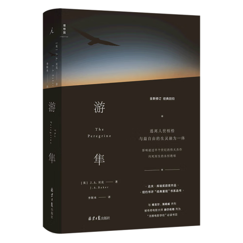 游隼 正货