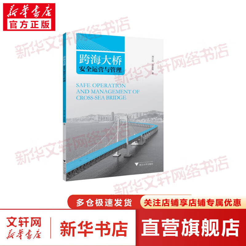 跨海大桥安全运营与管理 图书