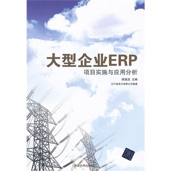 【书】大型企业ERP项目实施与应用分析