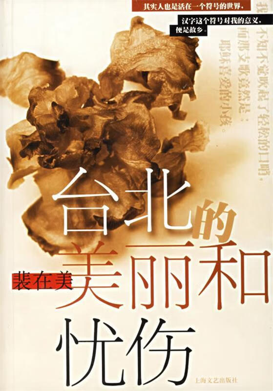台北的美丽和忧伤