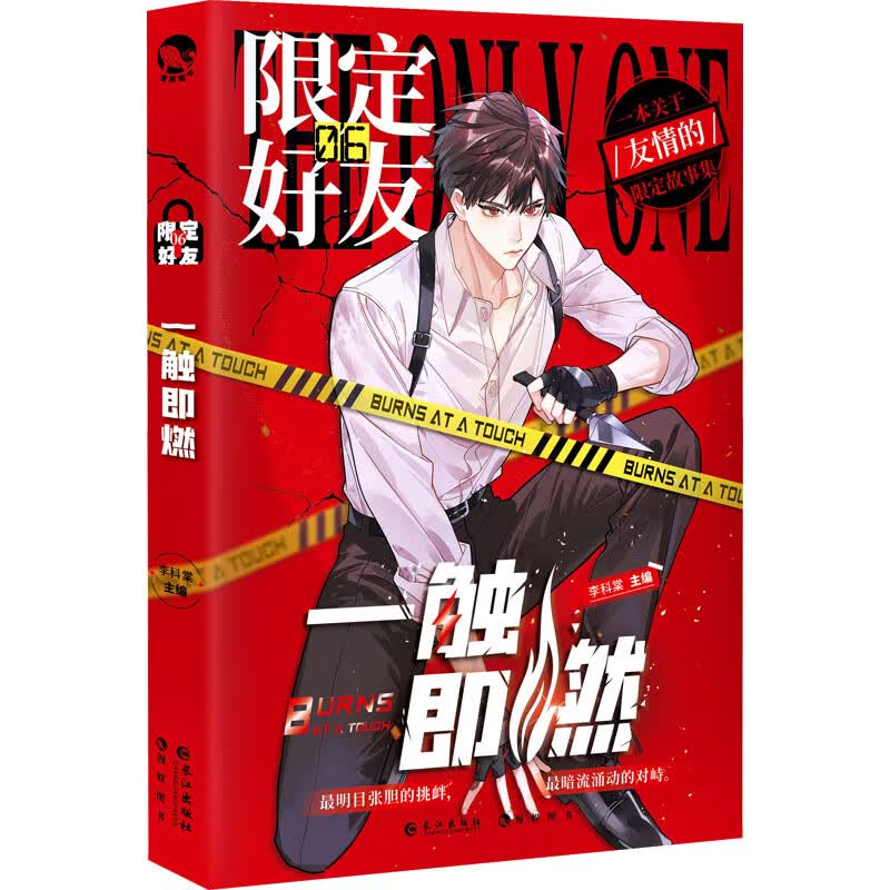 限定好友 6 一触即燃 图书