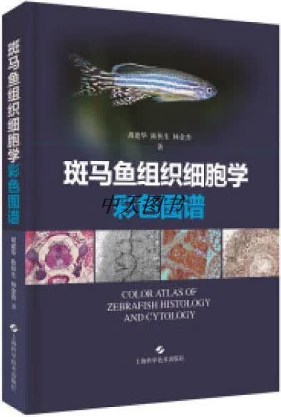 斑马鱼组织细胞学彩色图谱 胡建华，陈秋生，林金杏著 上海科学技术出版社
