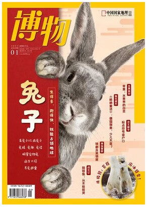 博物2023年1月总第229期 兔子专辑 现货