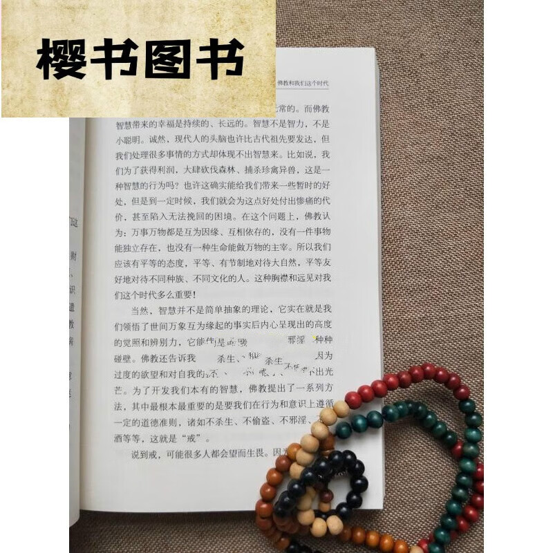花都法雨 净慧编著 金城 简体清晰字体32开