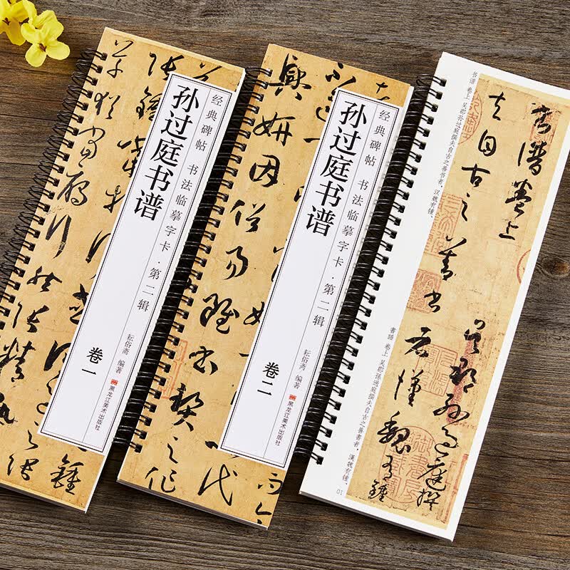 孙过庭书谱草书毛笔书法字帖经典碑帖临摹字卡原大版全文学生临摹原帖唐代墨迹本附简体旁注 近距离临摹字卡