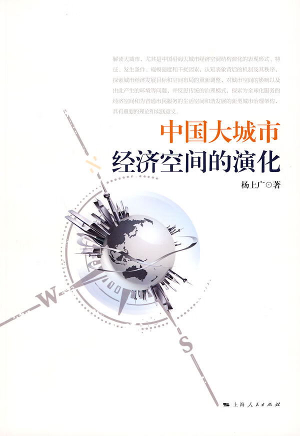 中国大城市经济空间的演化