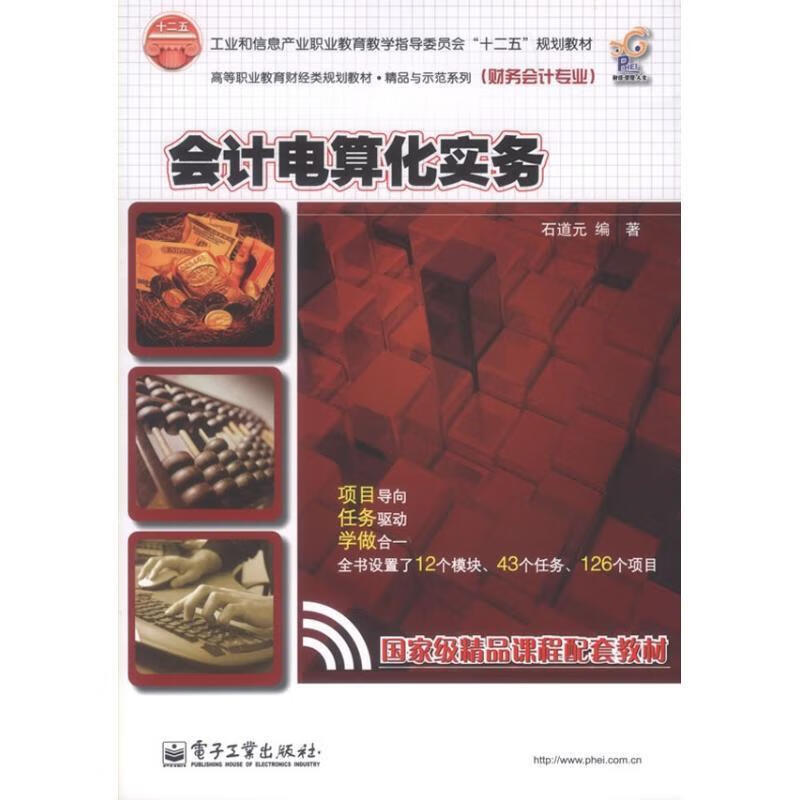 会计电算化实务 石道元
