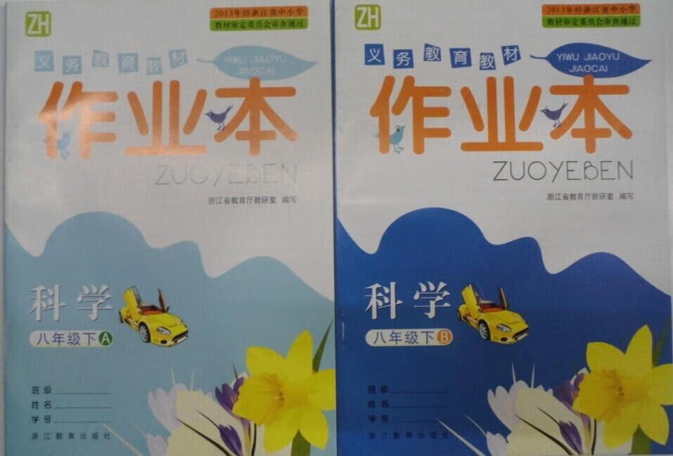 作业本科学八年级下 9787553615424