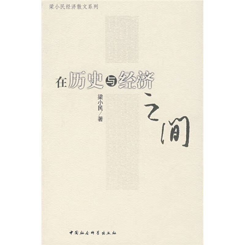 在历史与经济之间【好书】