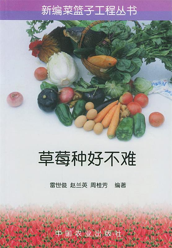 草莓种好不难