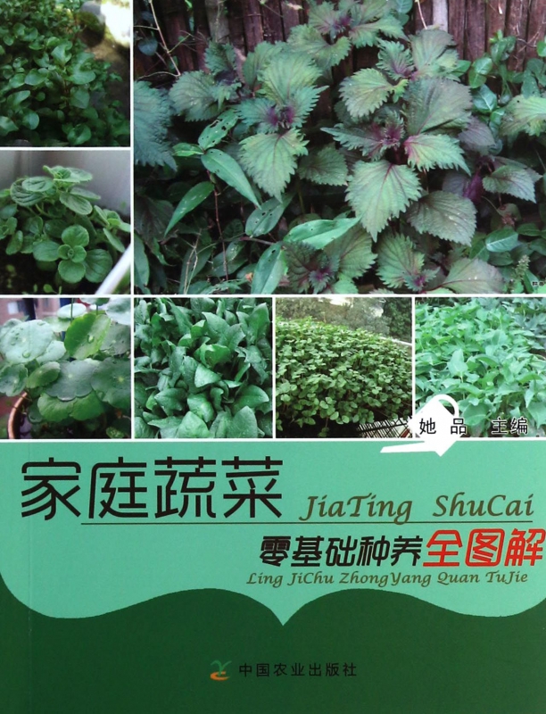家庭蔬菜零基础种养全图解