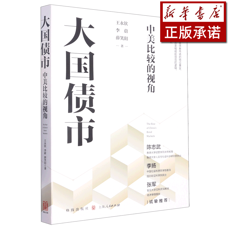 大国债市(中美比较的视角)