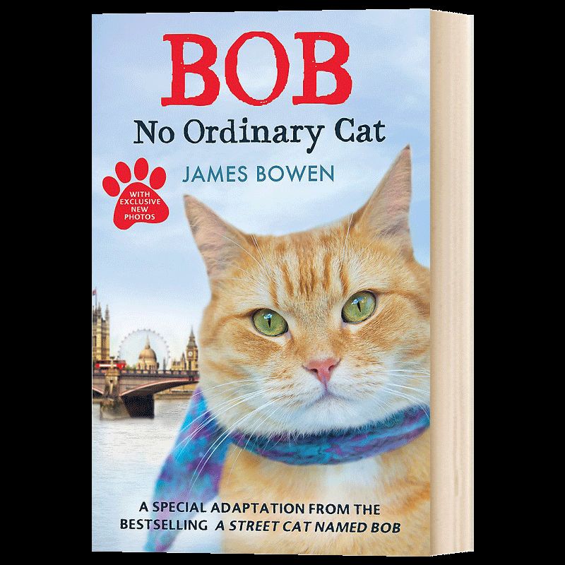 一只名叫鲍勃的流浪猫 英文 A Street Cat Named Bob 同名电影小说 遇见一只猫 鲍勃 不是普通的猫