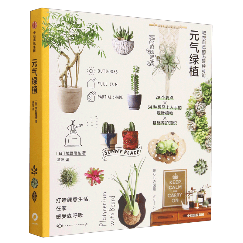 元气绿植/取悦自己的无限种可能