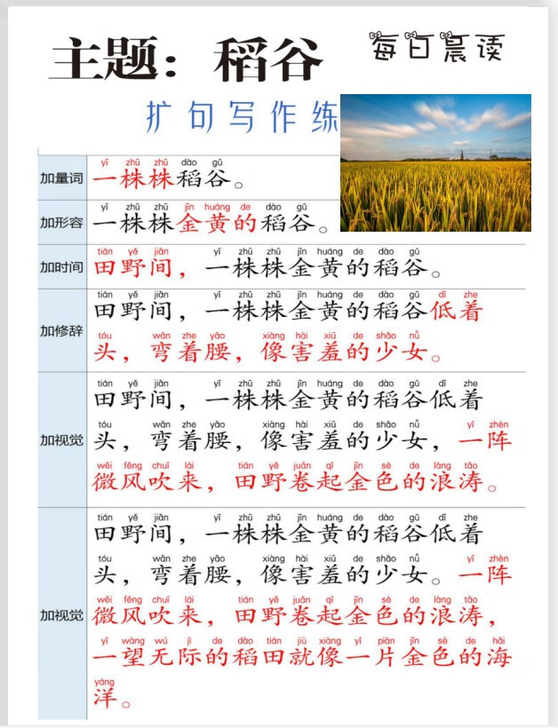 每日晨读50篇扩句法写作文一二三年级练习看图说话扩充句子专训练 扩句晨读50篇
