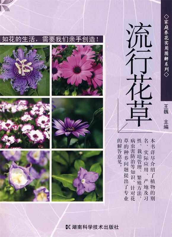 流行花草 王巍 主编