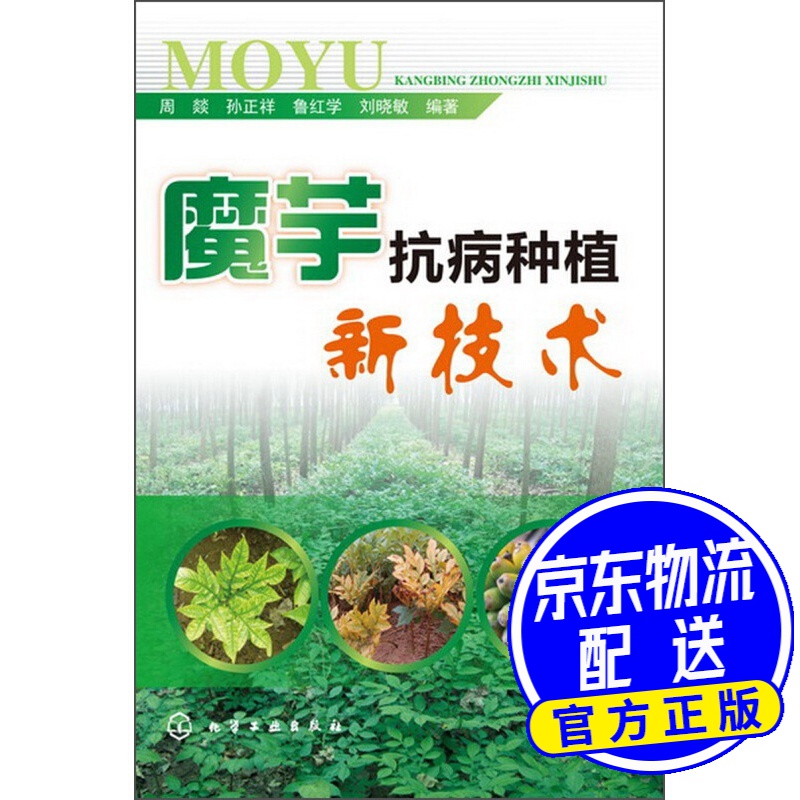 魔芋抗病种植新技术
