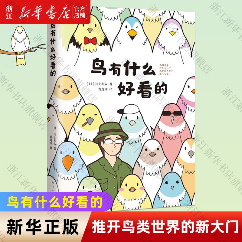 鸟有什么好看的