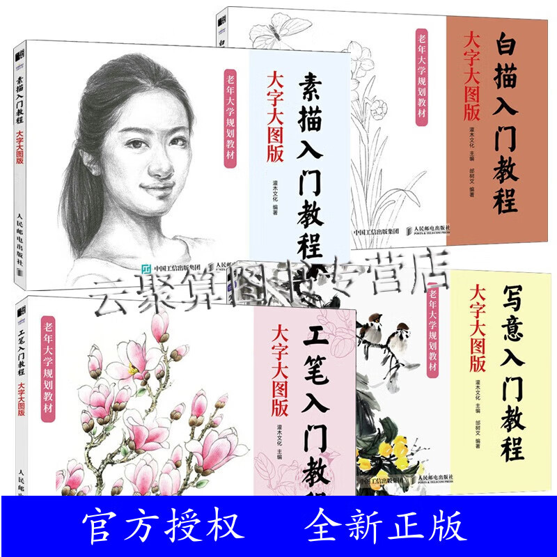 4册 绘画技法入门教程 大字大图版 写意+工笔+素描+白描 中老年人学国画教程书临摹画册自学水墨国画白描勾线素描手绘花鸟鱼虫画册