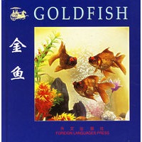 金鱼 张克庆【，放心购买】