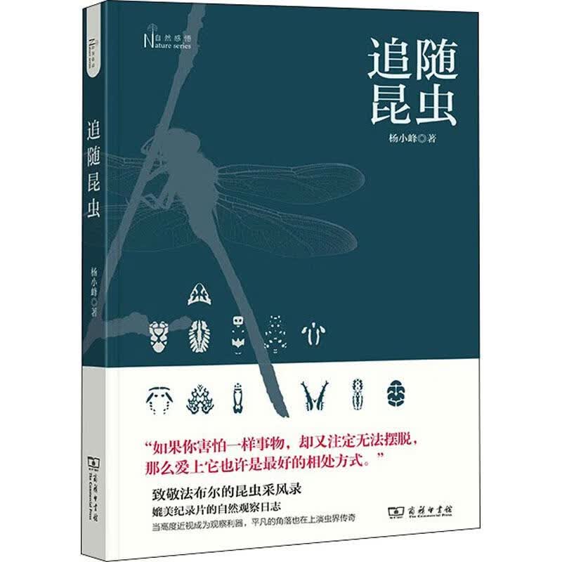 追随昆虫 图书