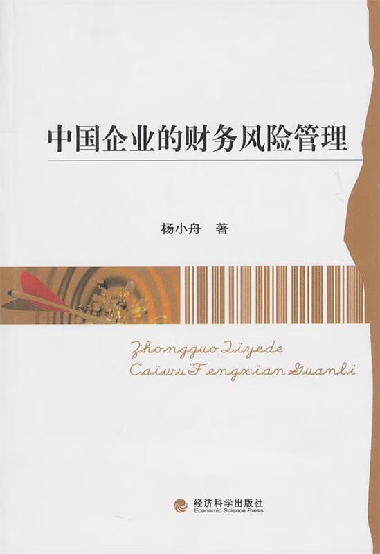 中国企业的财务风险管理