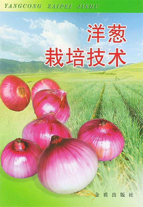 洋葱栽培技术