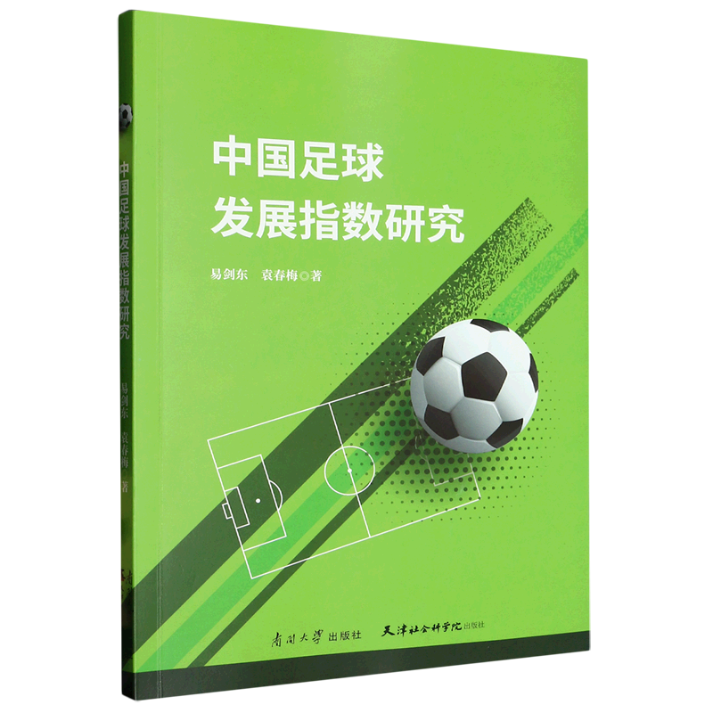 中国足球发展指数研究