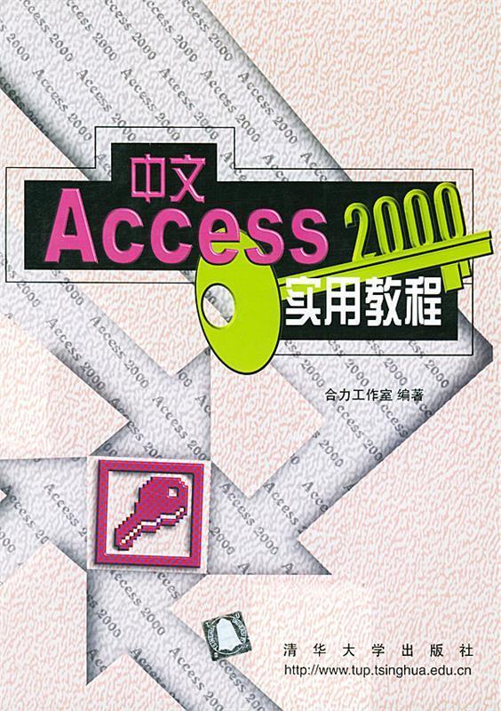 中文Access 2000实用教程