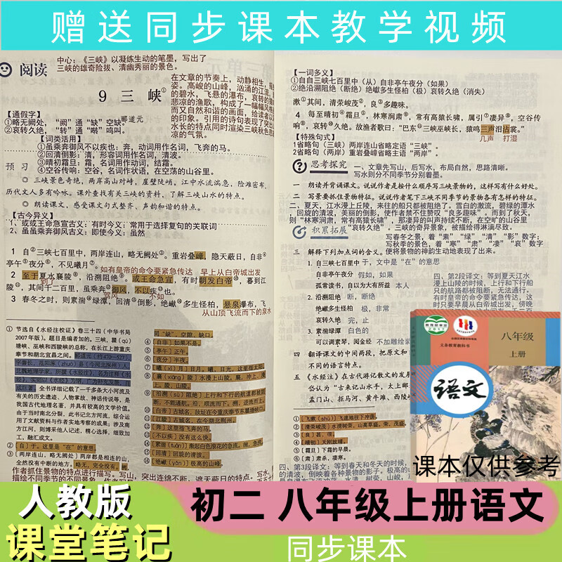 初二八年级上册语文课堂笔记课本同步人教版预习教材重点笔记全解 语文 八年级上