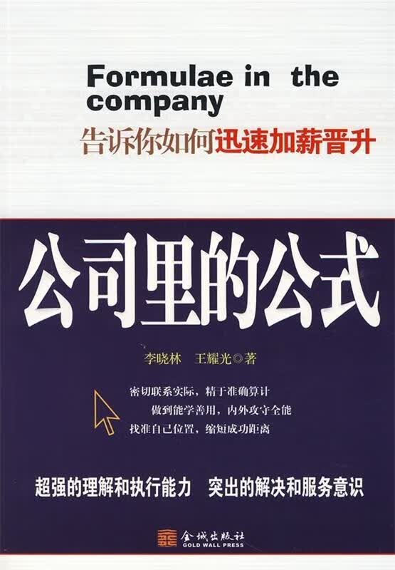 公司里的公式 李晓林,王耀光著
