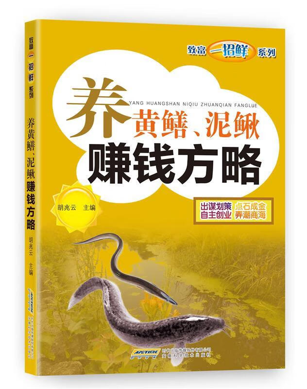 养黄鳝、泥鳅赚钱方略