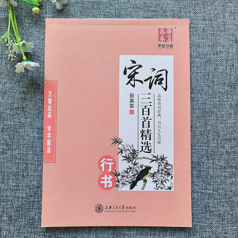 华夏万卷字帖田英章行书唐诗宋词三百首精选硬笔书法入门教程现代 宋词三百首(行书)