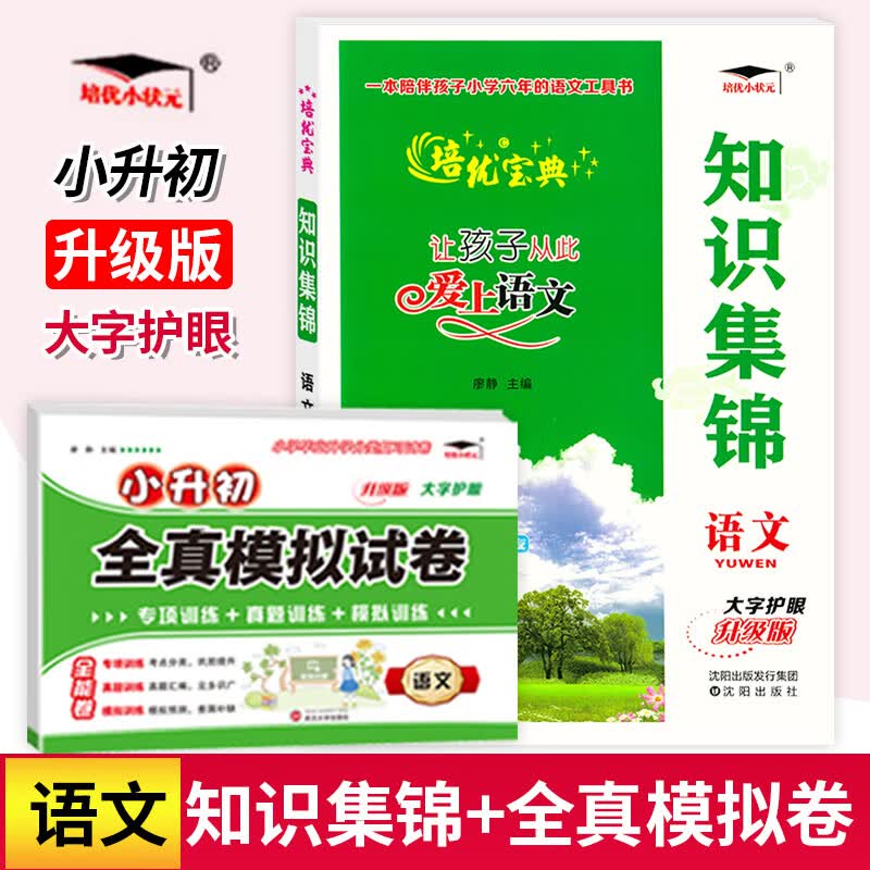 2023新知识集锦语文升级版大字护眼全国版小学生1-6年级统编语文知识大全文学常识字词成语归纳六年级小升初 语文2本【知识集锦+全真测试卷】 小学通用