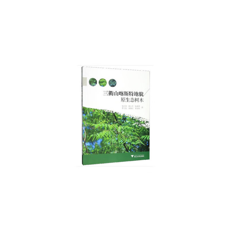 三衢山喀斯地貌原生态树木