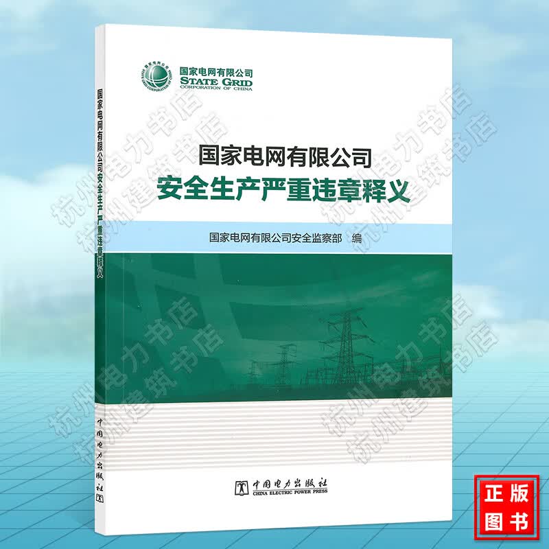 国家电网有限公司安全生产严重违章释义