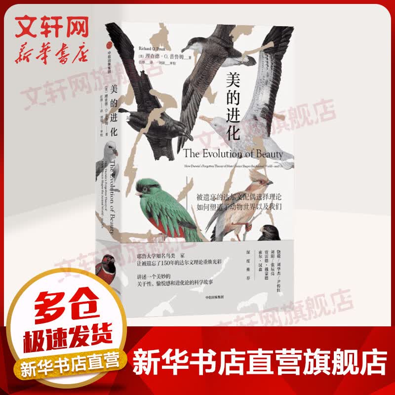 美的进化：被遗忘的达尔文配偶选择理论，如何塑造了动物世界以及我们