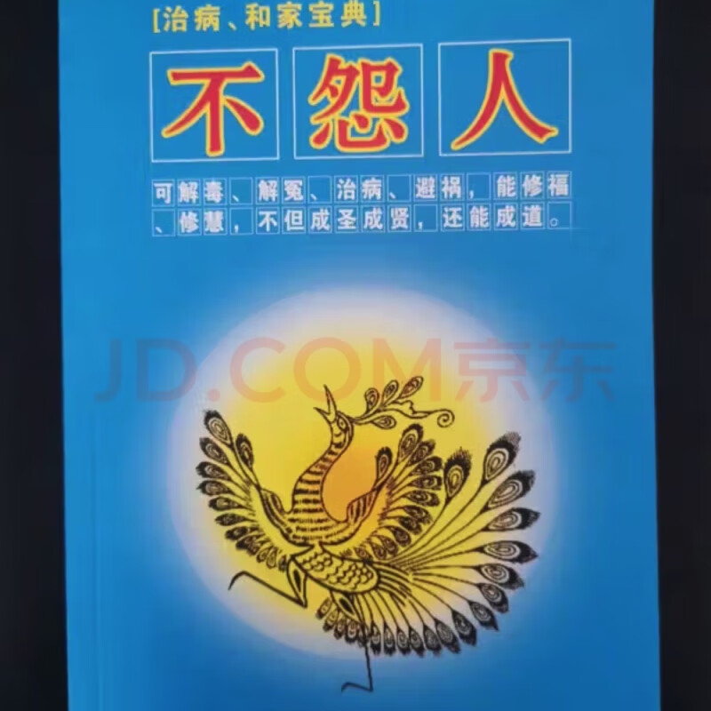 不怨人 王凤仪性理疗病简述 理疗病简述 理疗病简述