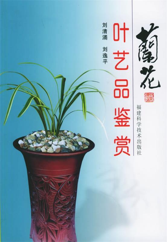 兰花叶艺品鉴赏