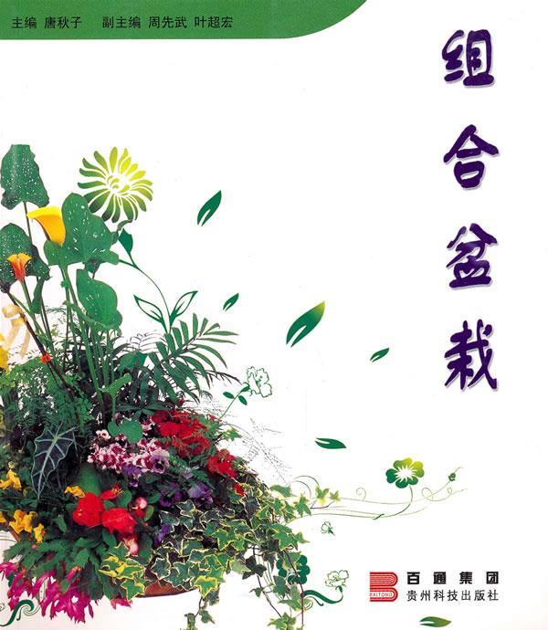 组合盆栽 唐秋子主编