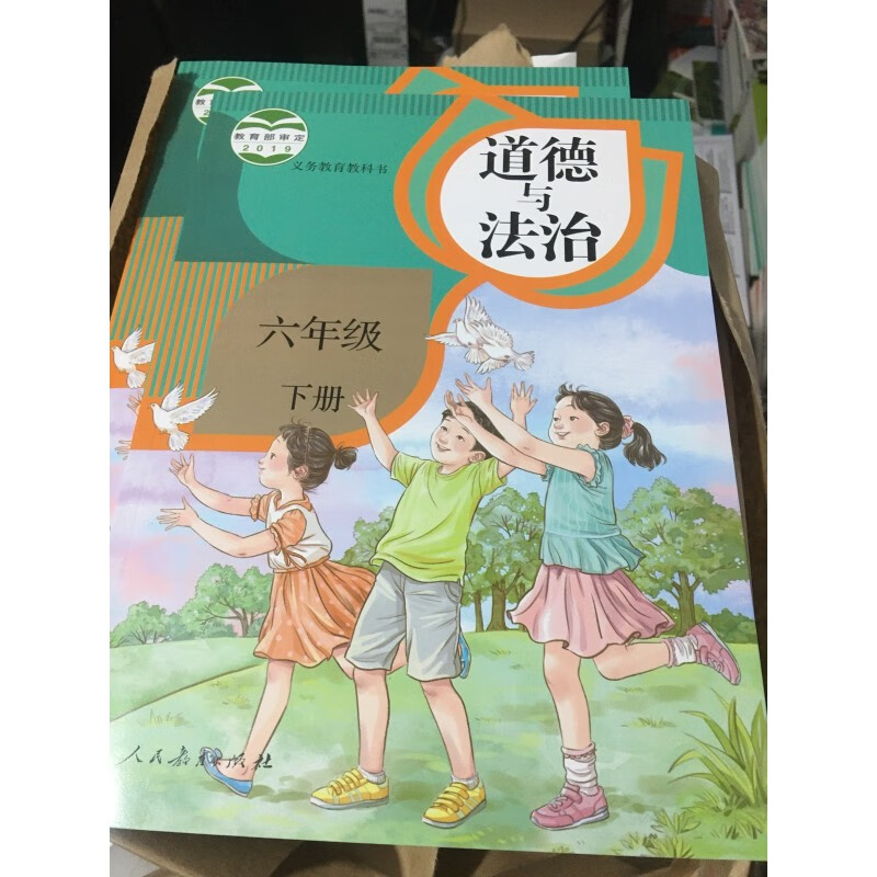 现货2020年新版道德与法治六年级下册课本部编版人教版六下品德与