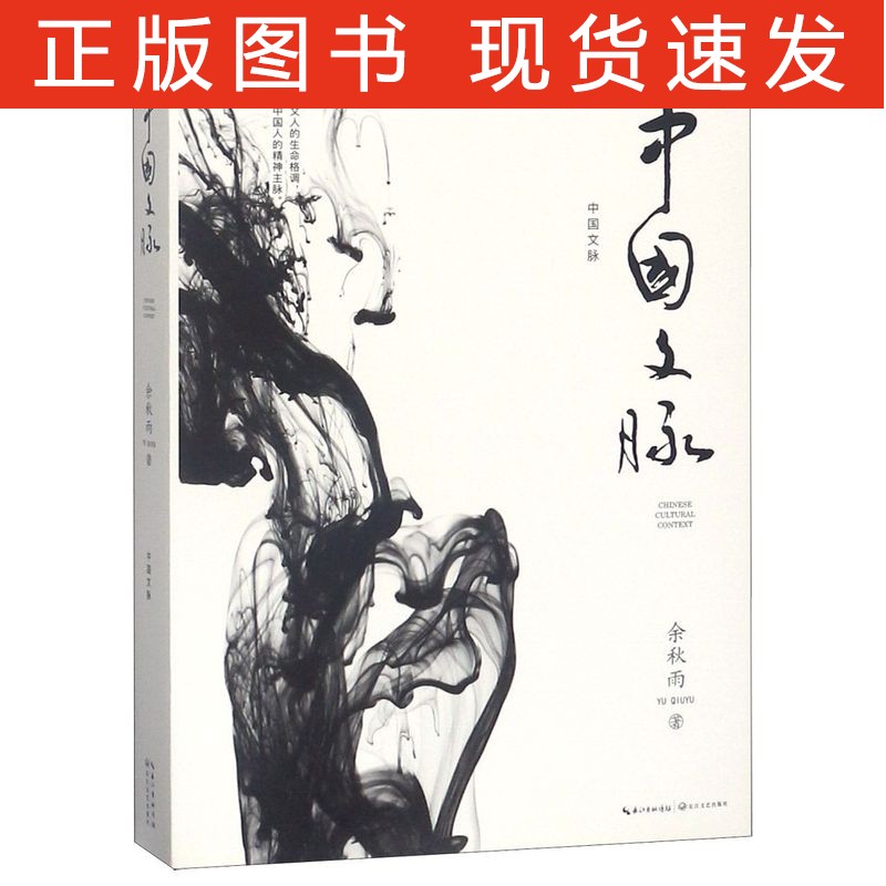 中国文脉 余秋雨 长江文艺