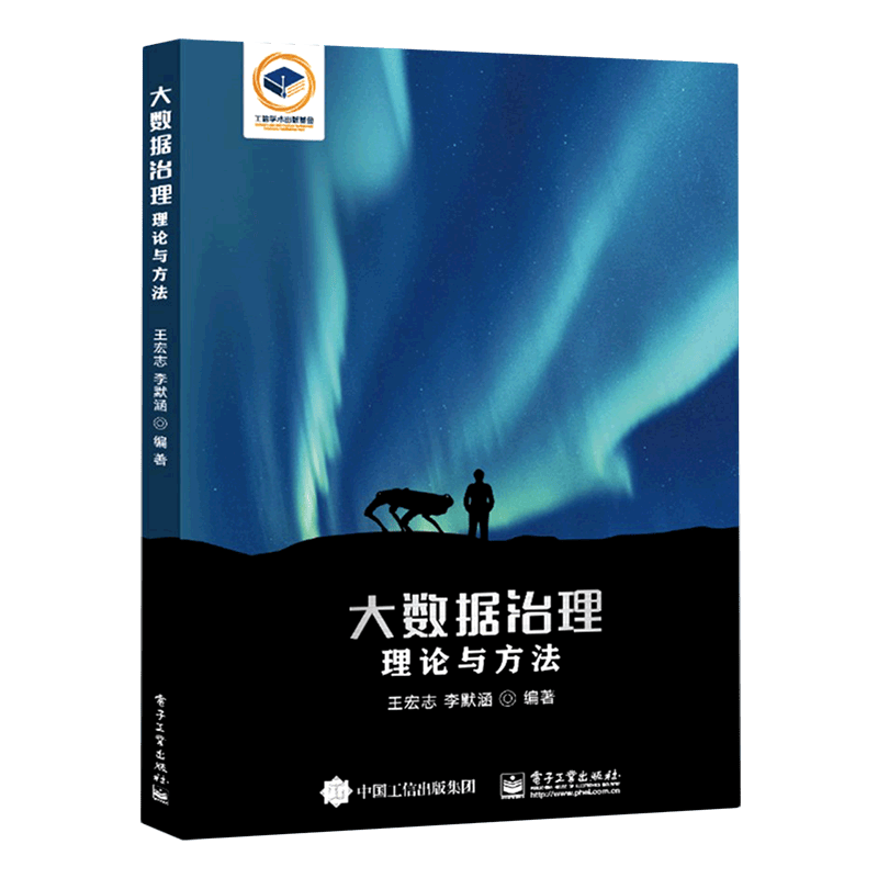 大数据治理(理论与方法)