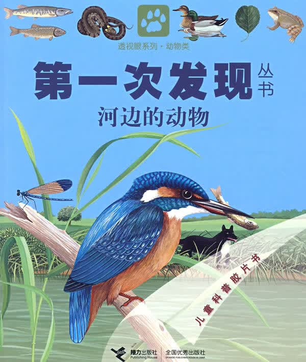 动物类【现货】